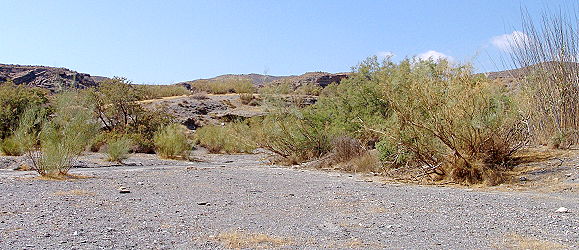 Valle del Buho