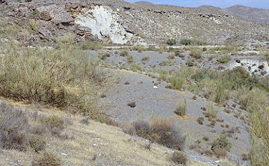 Valle del Buho
