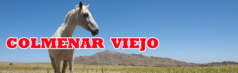 Colmenar Viejo