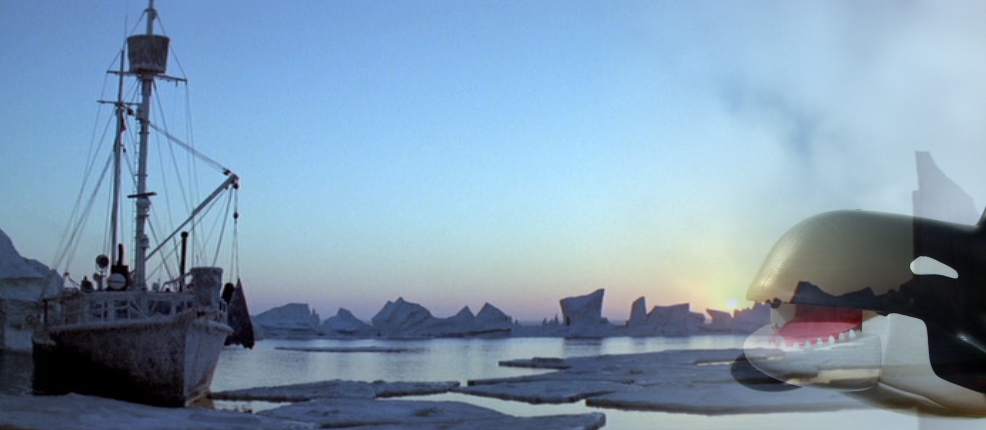 Orca The Killer Whale Movie